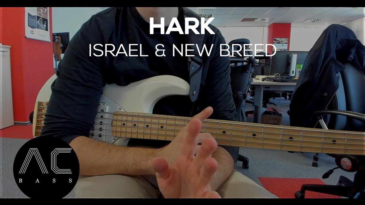 Hark - Israel & New Breed [HD Bass Cover] - YouTube