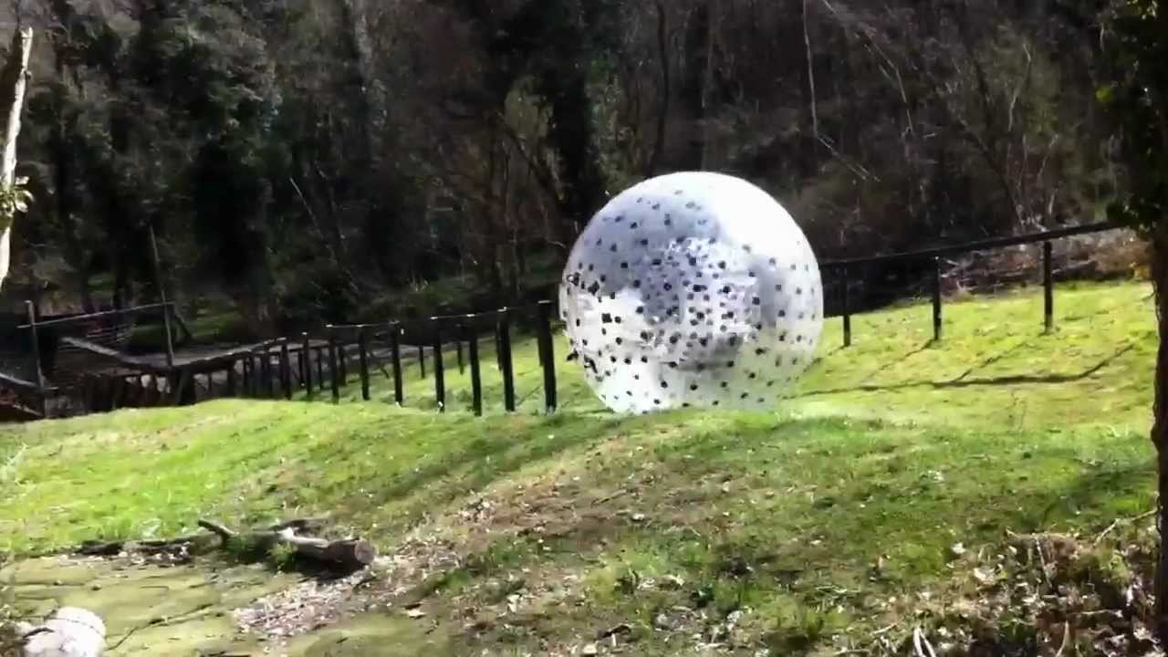 Zorbing experience - Pod London - YouTube