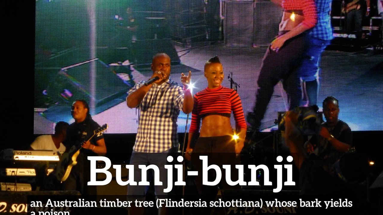 How to Say Bunji-bunji in English? | What is Bunji-bunji? | How Does ...