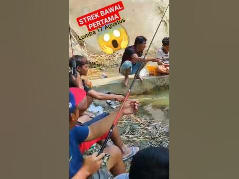 LOMBA MANCING IKAN BAWAL STREK PERTAMA...‼️#shortsviral - YouTube