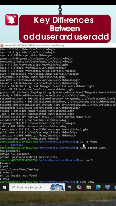 Linux User Accounts: Adduser and Useradd Compared - YouTube