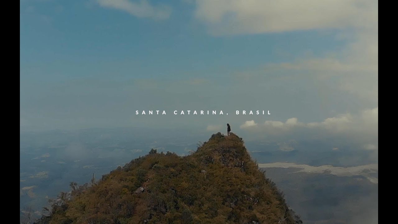empty clothing co. & Rafa Bridi - YouTube