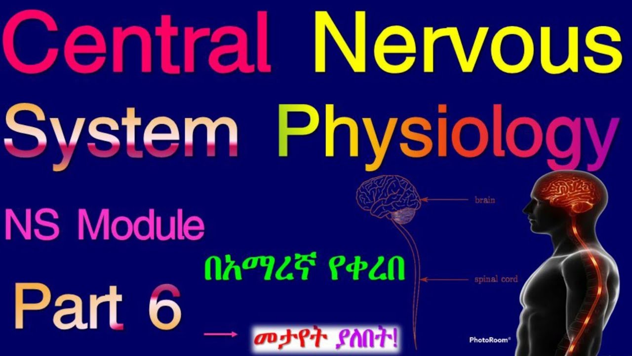 Central Nervous System Physiology, NS Module, Part 6, Based on the new ...