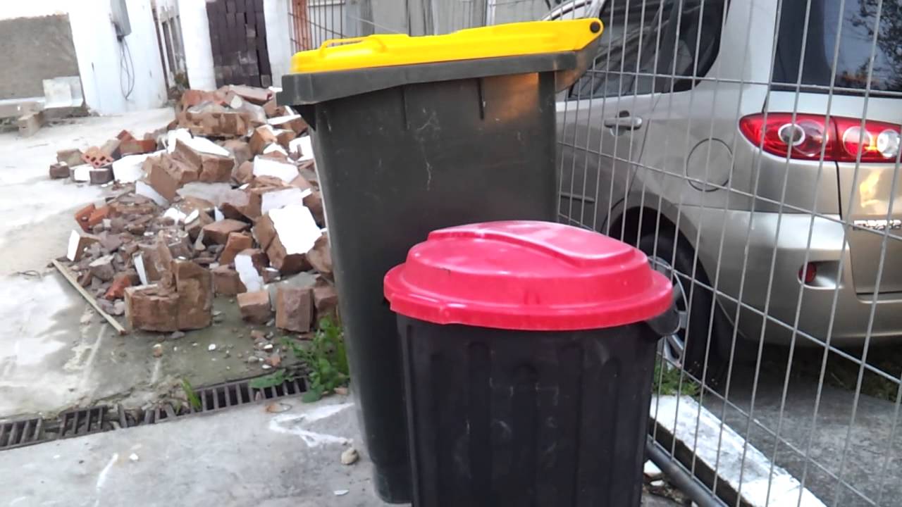 Rat trapped in garbage bin - YouTube