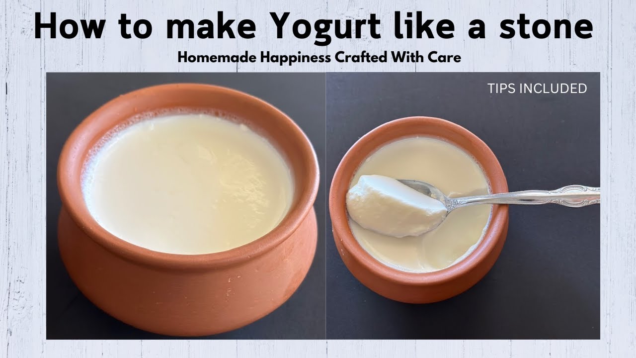 Secret of making stone like Yogurt| Easy home made fresh yogurt ...