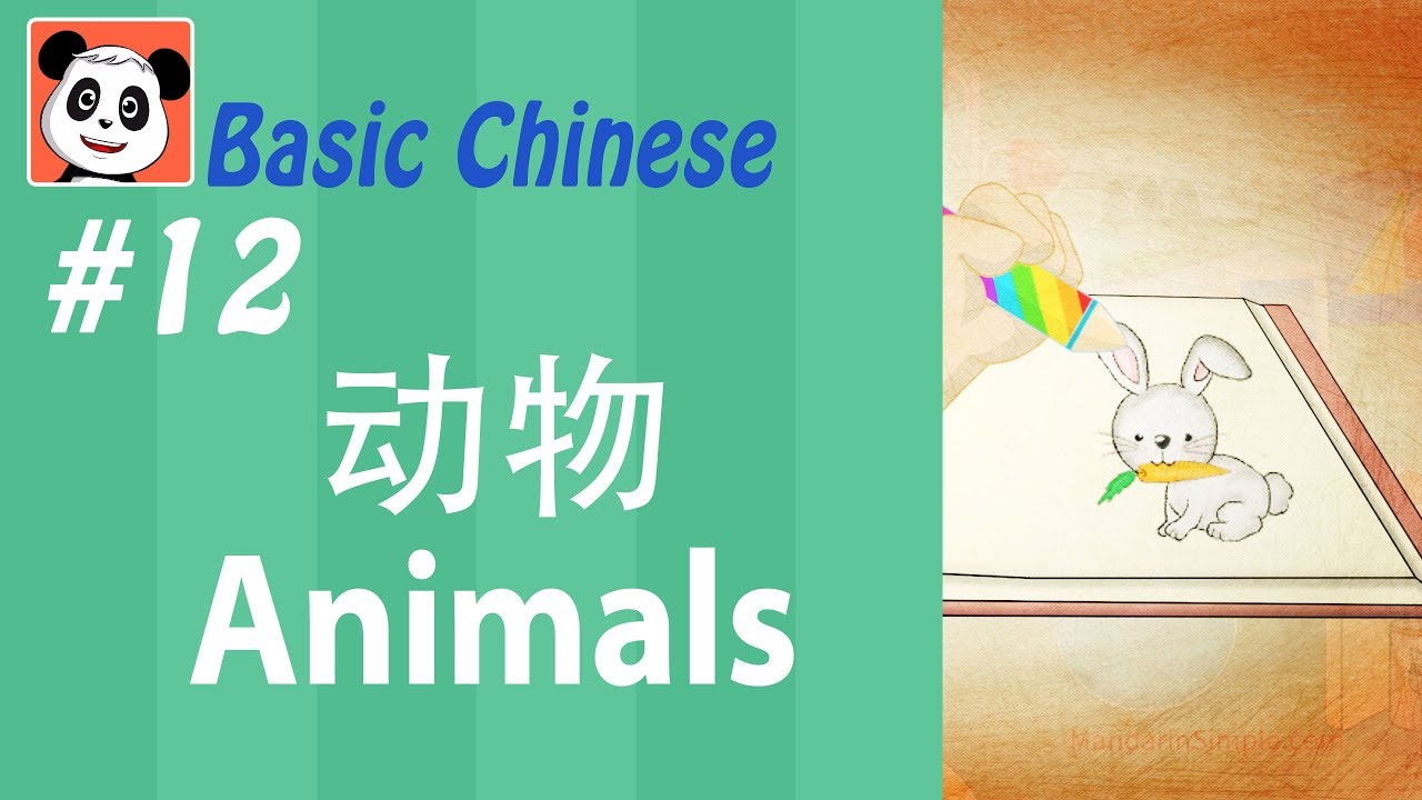 Basic Chinese #12 - Animals 动物 - YouTube
