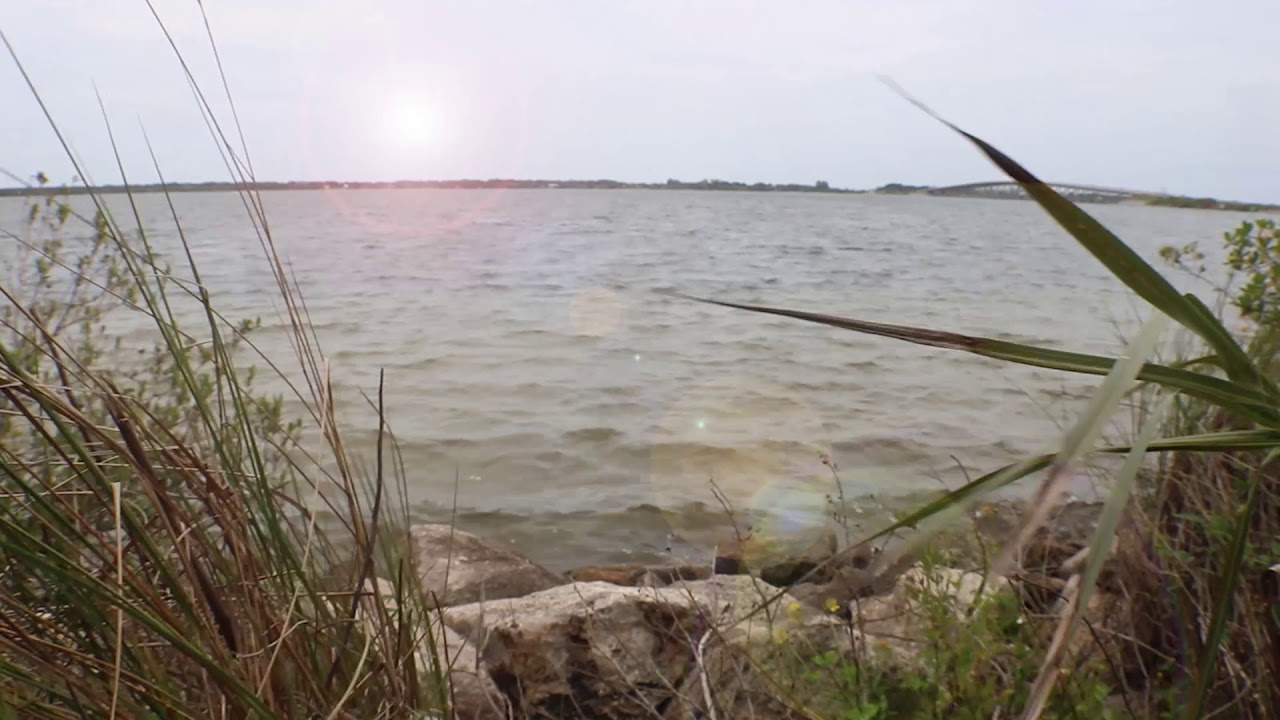 WAVE Sounds On The River, Waves Lapping Riverside, Water Sounds to ...