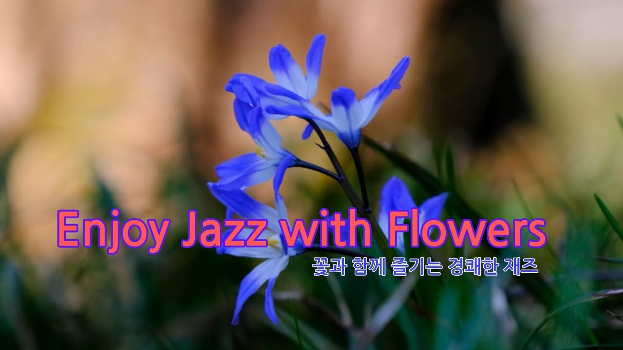 Enjoy Jazz with Flowers #1, 경쾌한 재즈, Cheerful jazz music #jazzpiano # ...