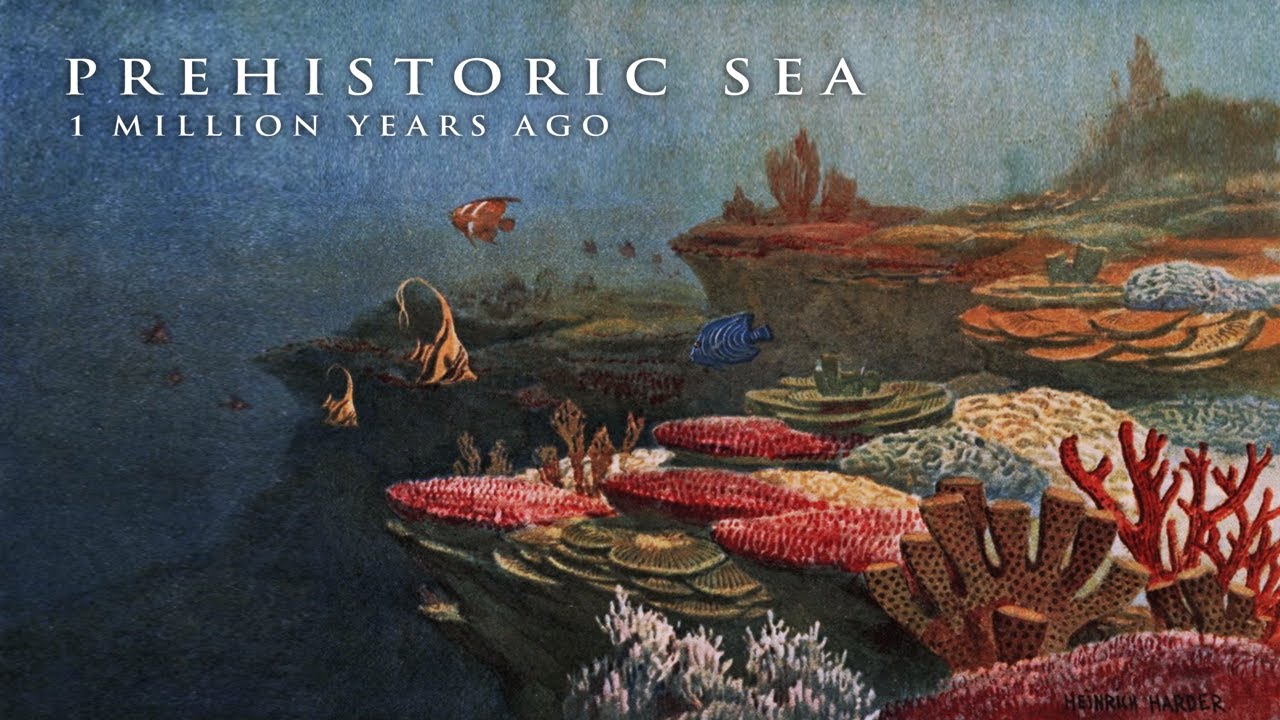 Prehistoric Sea, 1 Million Years Ago - YouTube