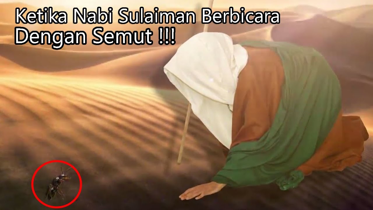 Mukjizat Nabi !! Kisah Semut Yang Berani Berbicara Dengan Nabi Sulaiman ...