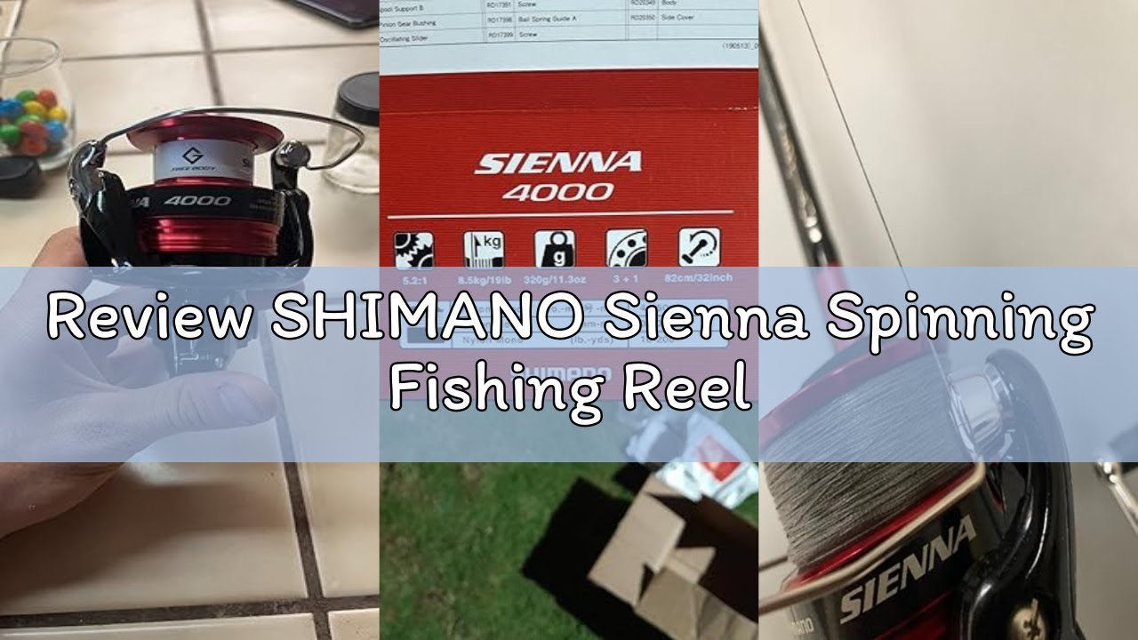 Review SHIMANO Sienna Spinning Fishing Reel - YouTube