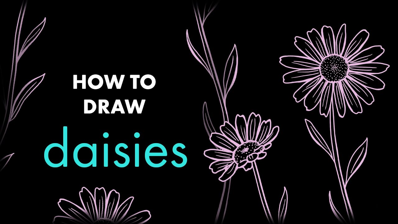How to Draw a Daisy Flower Using Just a Pen and Pencil! - YouTube