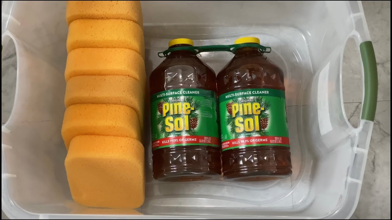 ASMR GALLONS OF PINE SOL SATISFYING SPONGE SQUEEZING - YouTube
