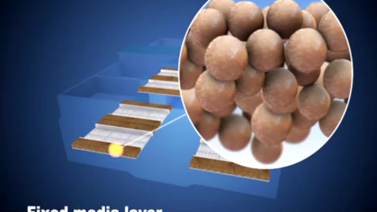 BBF Structure - YouTube