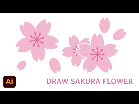 Draw Sakura Flower with Adobe Illustrator