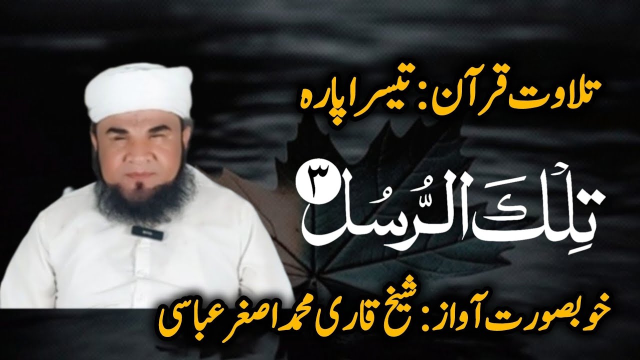 Juz 3 / Tilawat e Quran / 3rd Teesra Para Tilkar Rusul Recited By ...