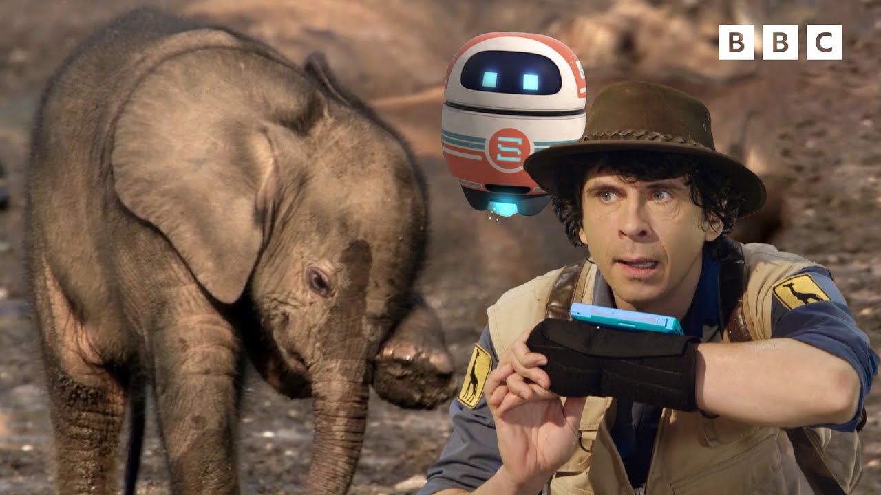 Andy and the Forest Elephants | Andy's Global Adventures | Andy's ...