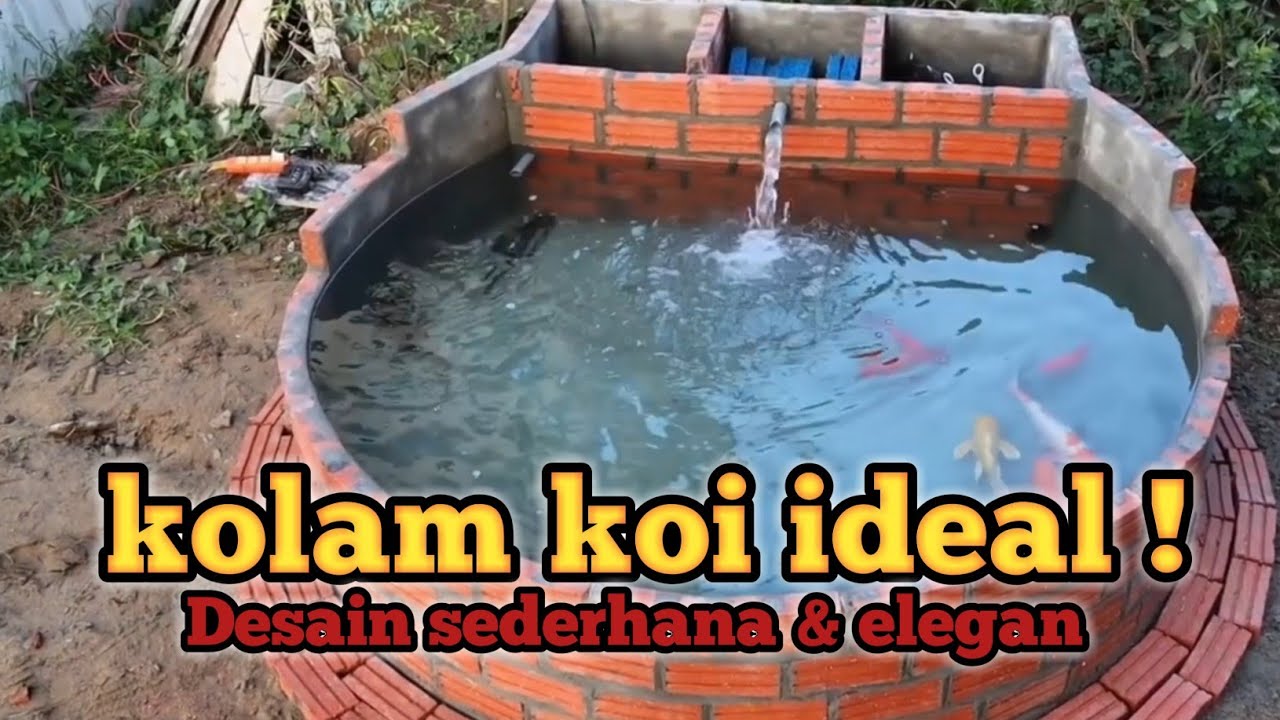 Cara Mudah Membuat Kolam Ikan Koi Minimalis di Rumah" - YouTube