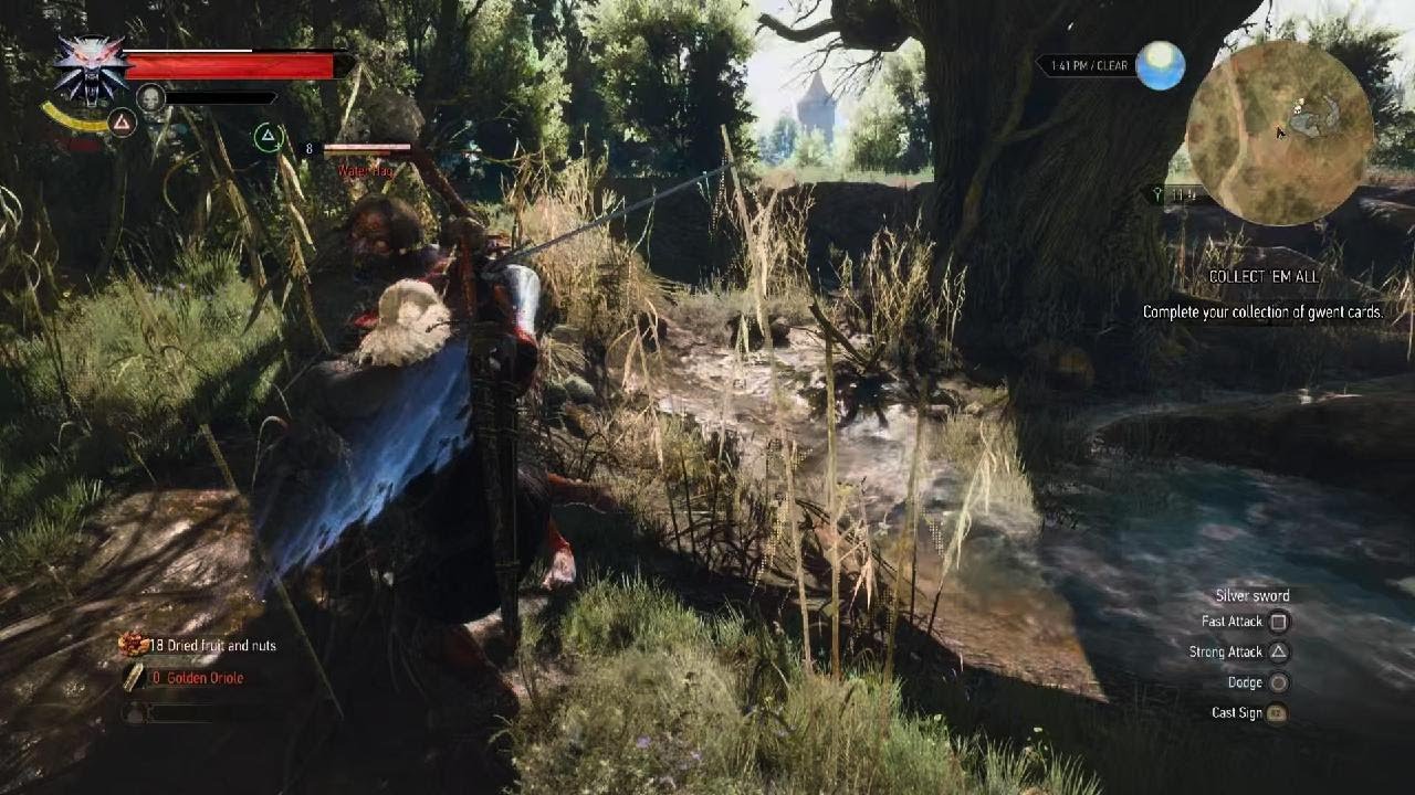 The Witcher 3: Wild Hunt nilfgaardian guardsman gauntlets location ...