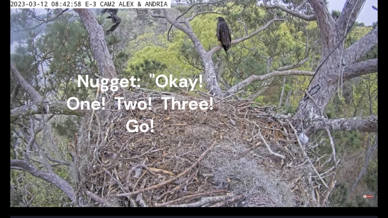 One, Two, Three, Go! UGH - YouTube