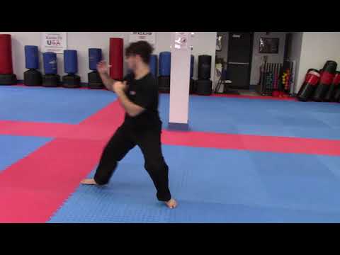 3 17 20 Same leg kick combo - YouTube