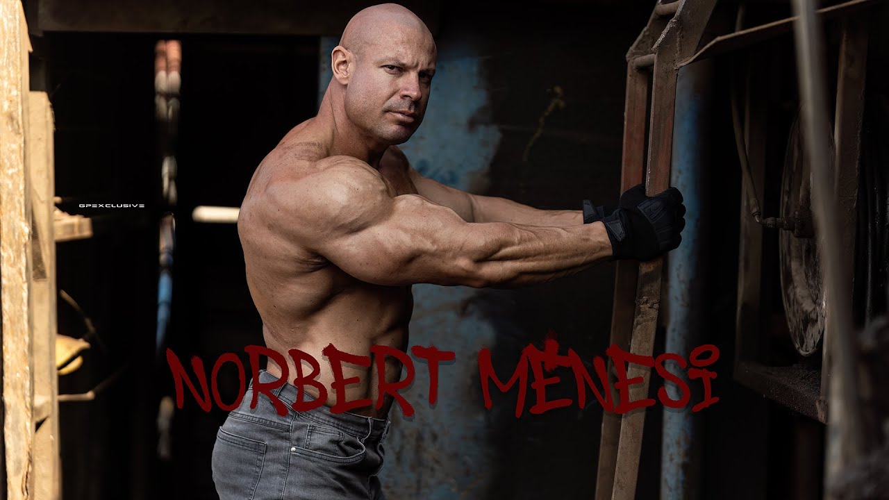 Norbert Ménesi Hungarian Bodybuilder - YouTube