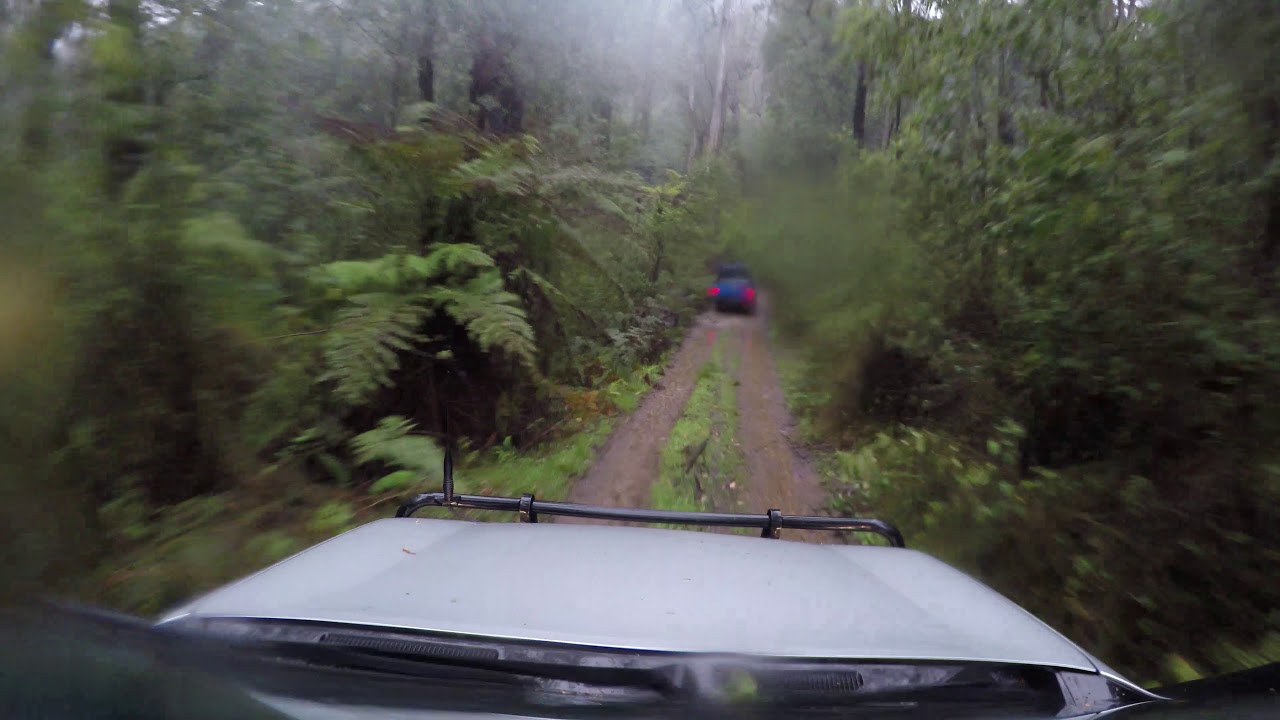 Haunted Stream Track - Nicholson Mt Alfred SF - Victoria - YouTube