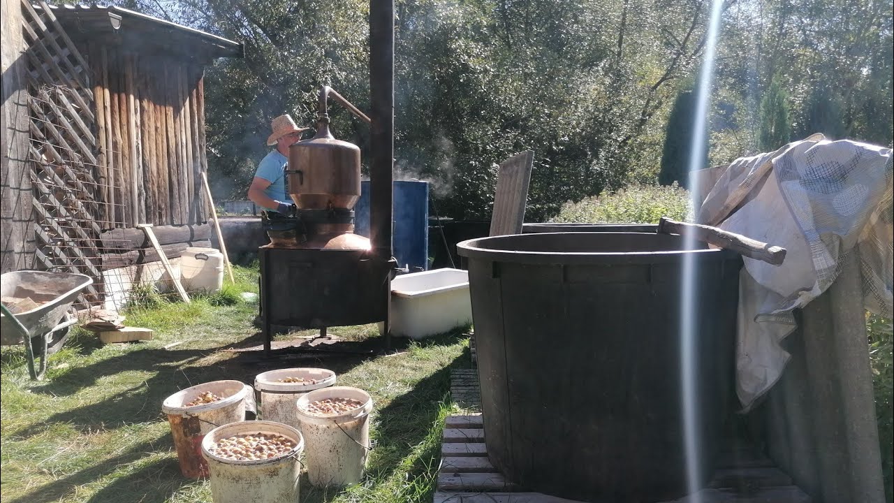 PECENJE RAKIJE / Divlja kruska 46° - YouTube