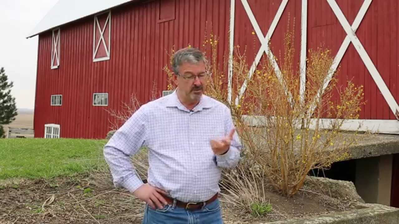 Farm Stories: Steve Pitstick - Maple Park, IL - YouTube