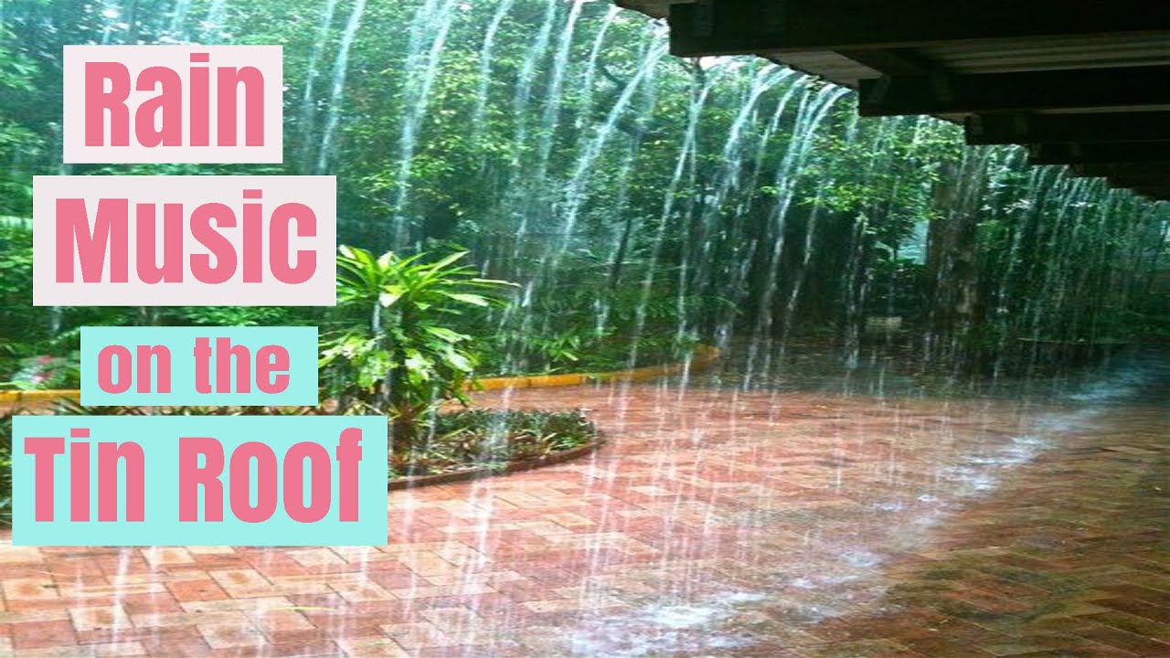Rain Music on the Tin Roof | For Relaxing | For Sleeping - YouTube