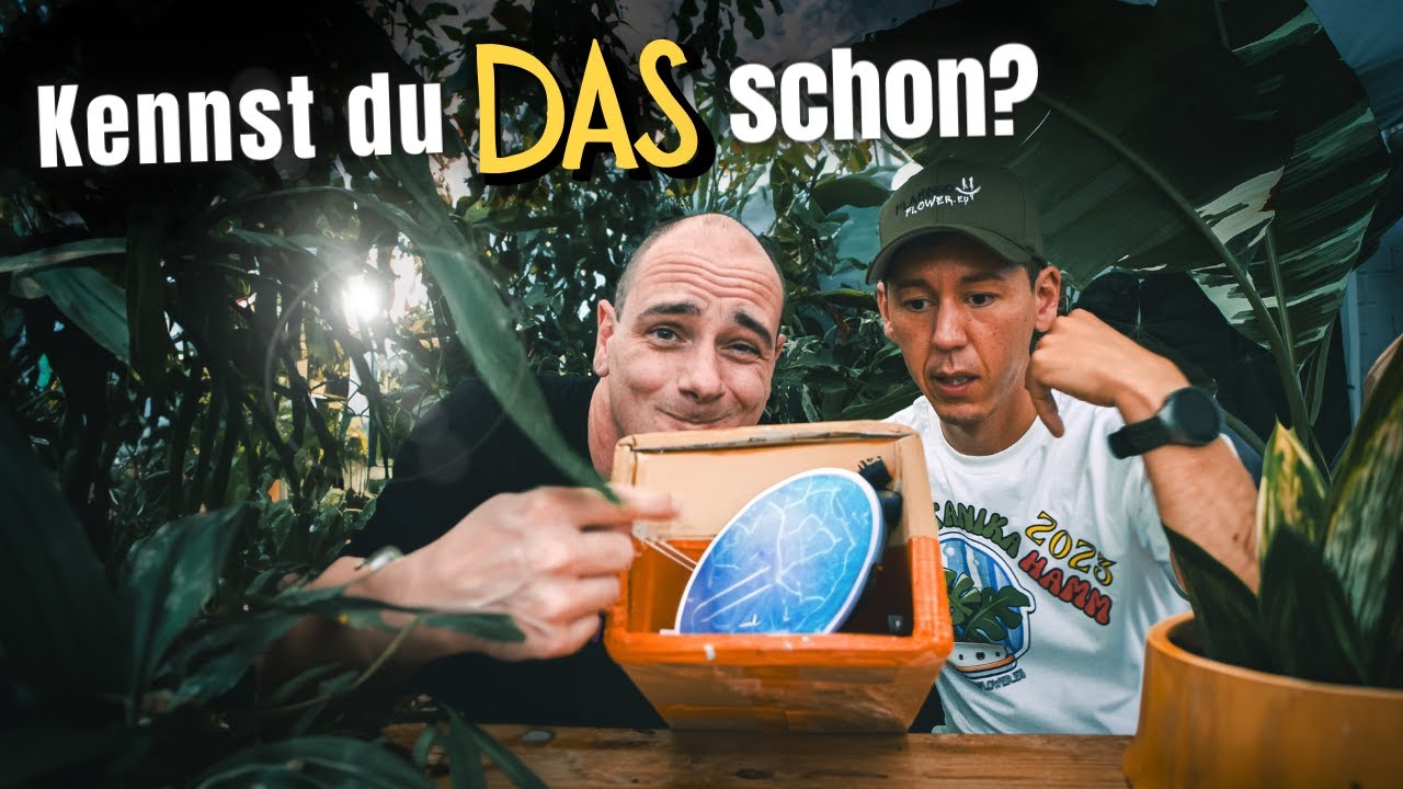 Der Temu Test 💰 TOP oder FLOP?Hammer Zeug für wenig Geld? - YouTube