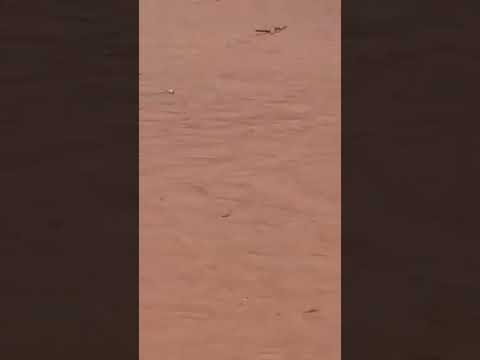 бади сел оби Сурх