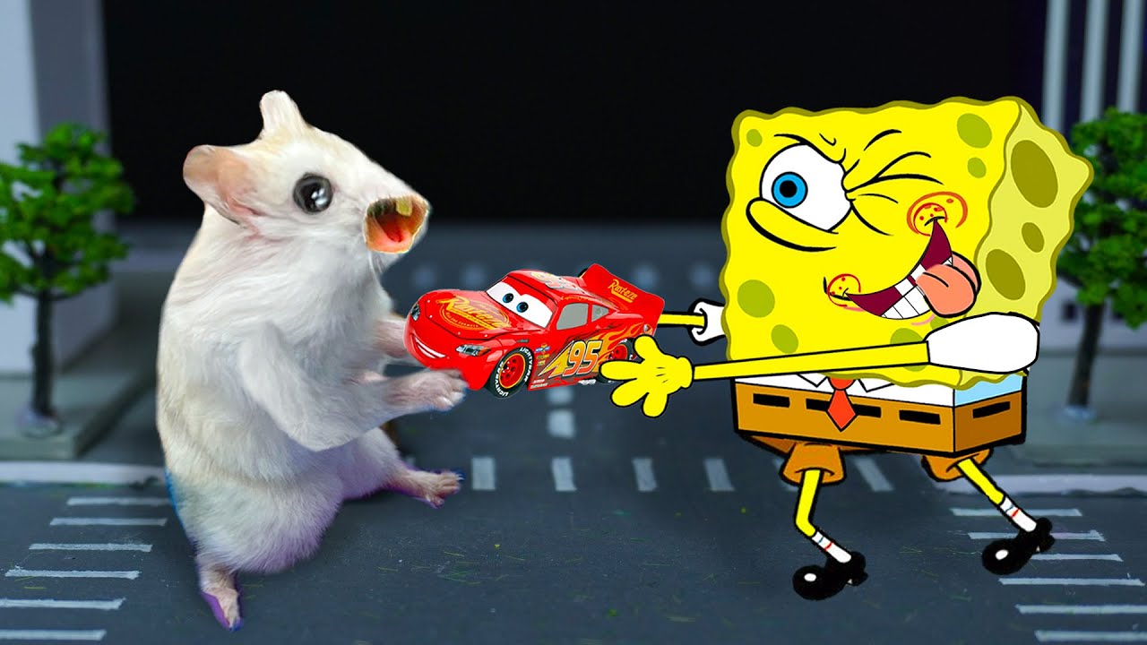 🐹 Spongebob vs Hamster Cute Funny Moments in real life - YouTube