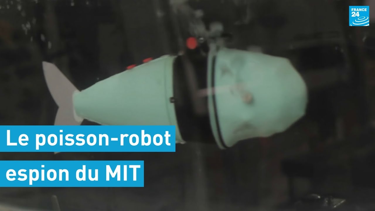 SoFi, le poisson-robot du MIT conçu pour espionner la faune marine ...