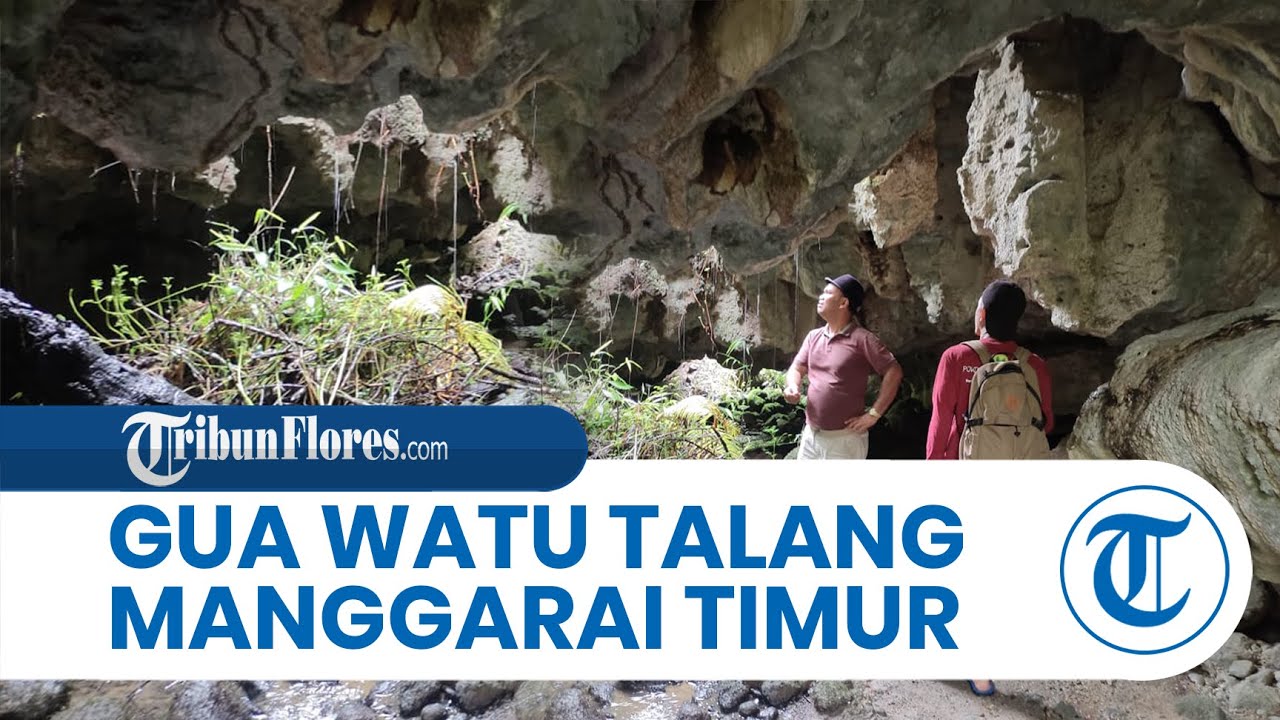 Tempat Wisata Alam, Gua Watu Talang di Manggarai Timur Dingin ...