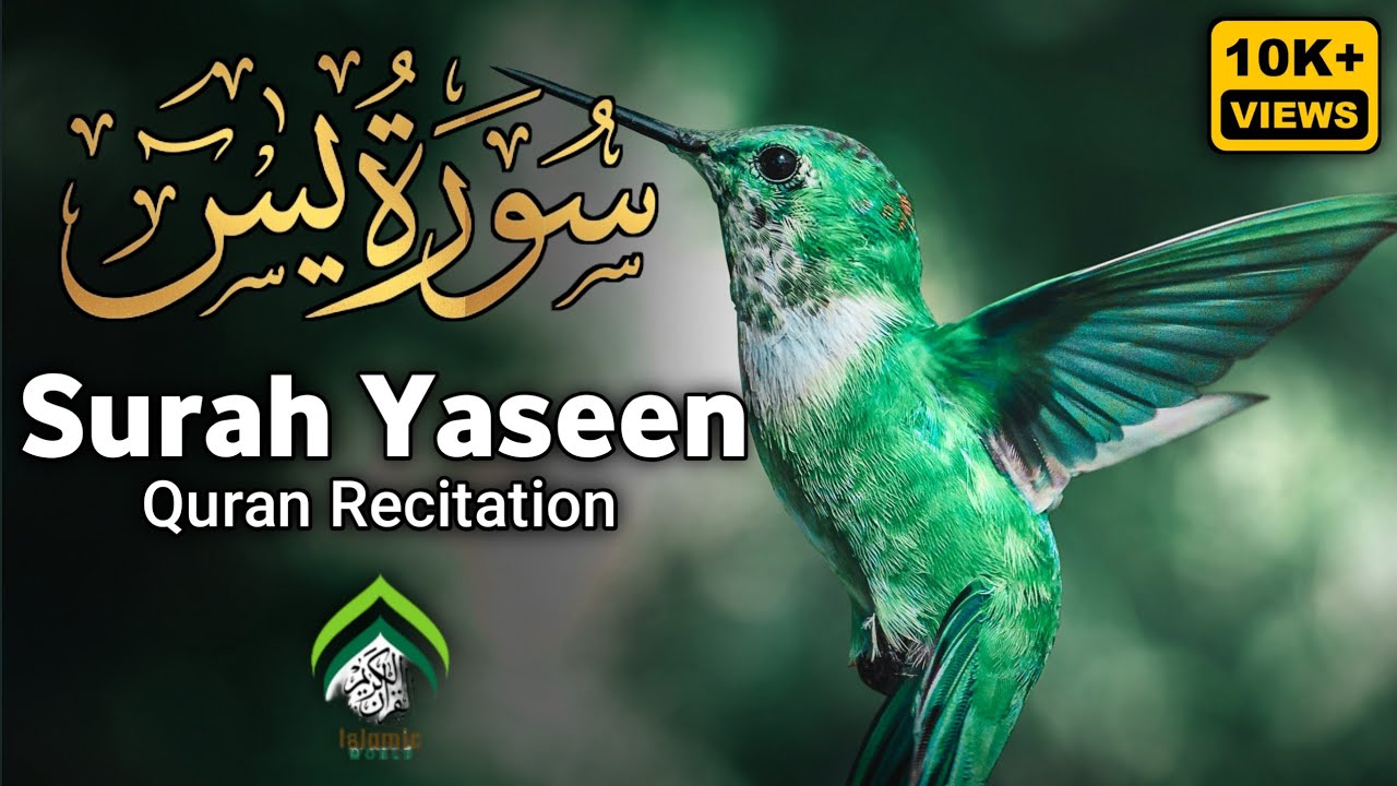 Surah Yasin (Mishary Rashid Alafasy) - Heart Soothing Quran Recitation ...