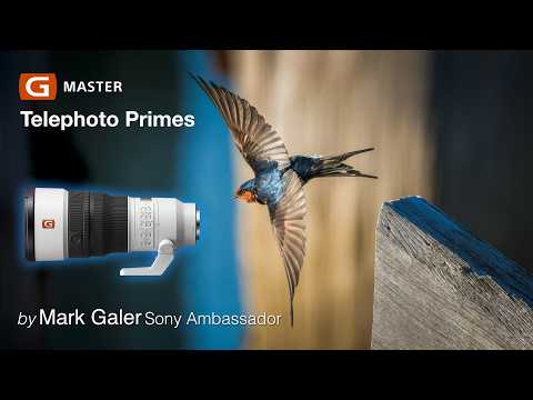 Sony's Lightweight 400 and 600 GM Telephoto Prime Lenses
