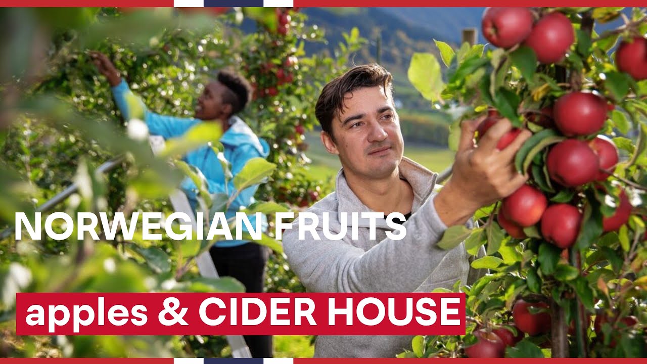 Norwegian fruits, APPLES & CIDER HOUSE - YouTube
