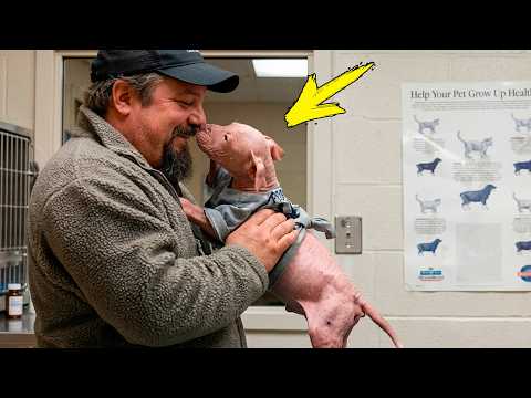 Heç kim onu XƏSTƏLİYİ səbəbindən övladlığa götürmək istəmirdi, amma O gəldikdə — MUCİZƏ baş verdi!