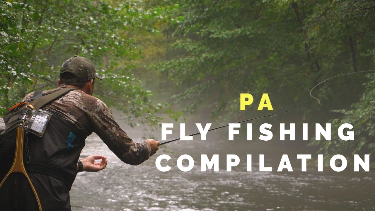 Incredible Cinematic Fly Fishing Footage - YouTube