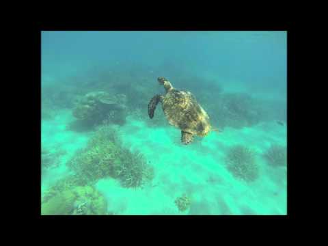 MADAGASCAR SOUS L'EAU