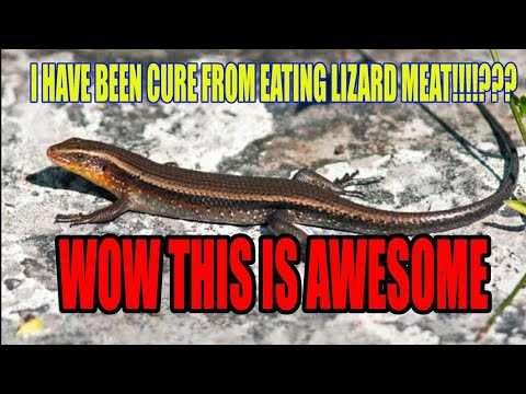 I HAVE BEEN CURE FROM EATING LIZARD MEAT!!!? DON'T UNDERESTIMATE HEALTH ...