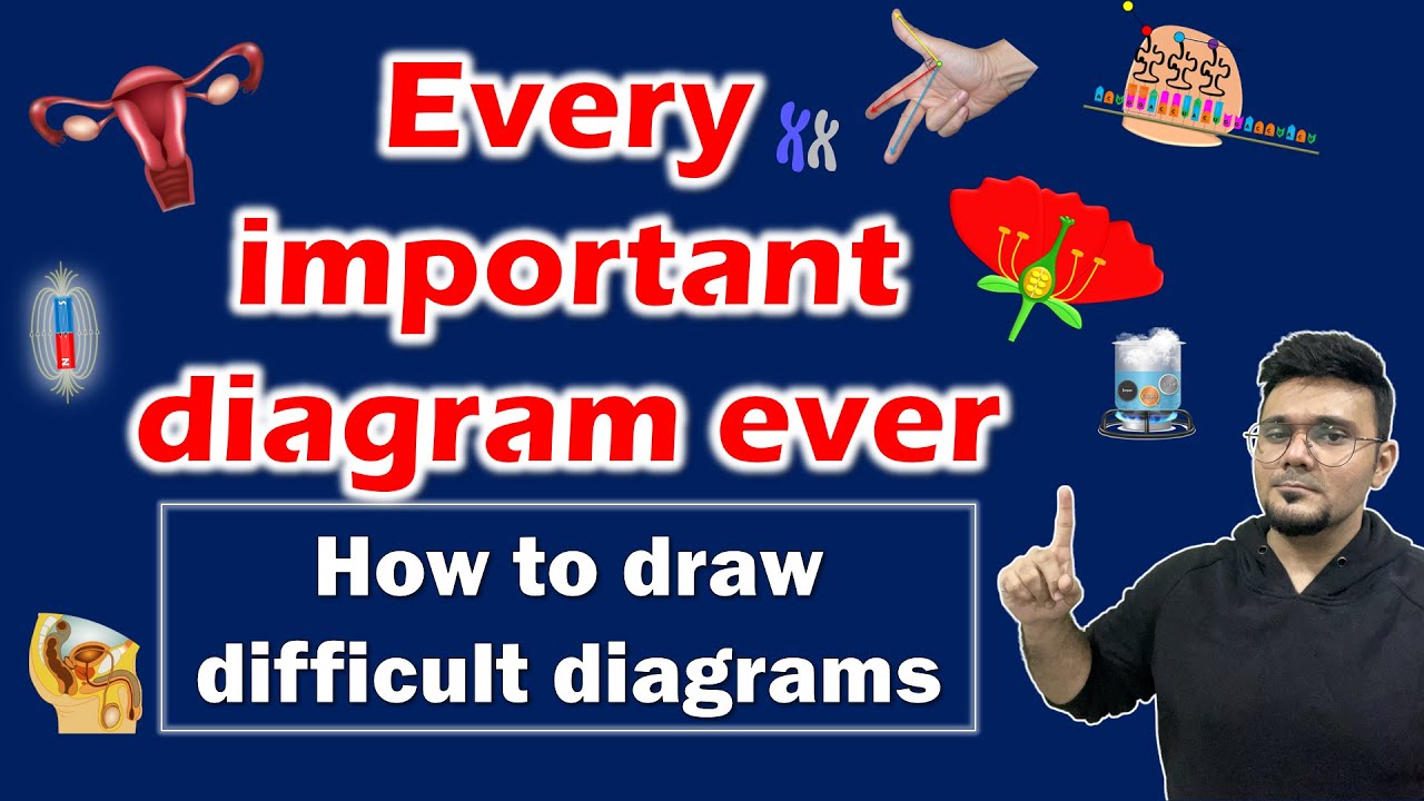 Every important diagram ever | How to draw difficult diagrams | SSC ...