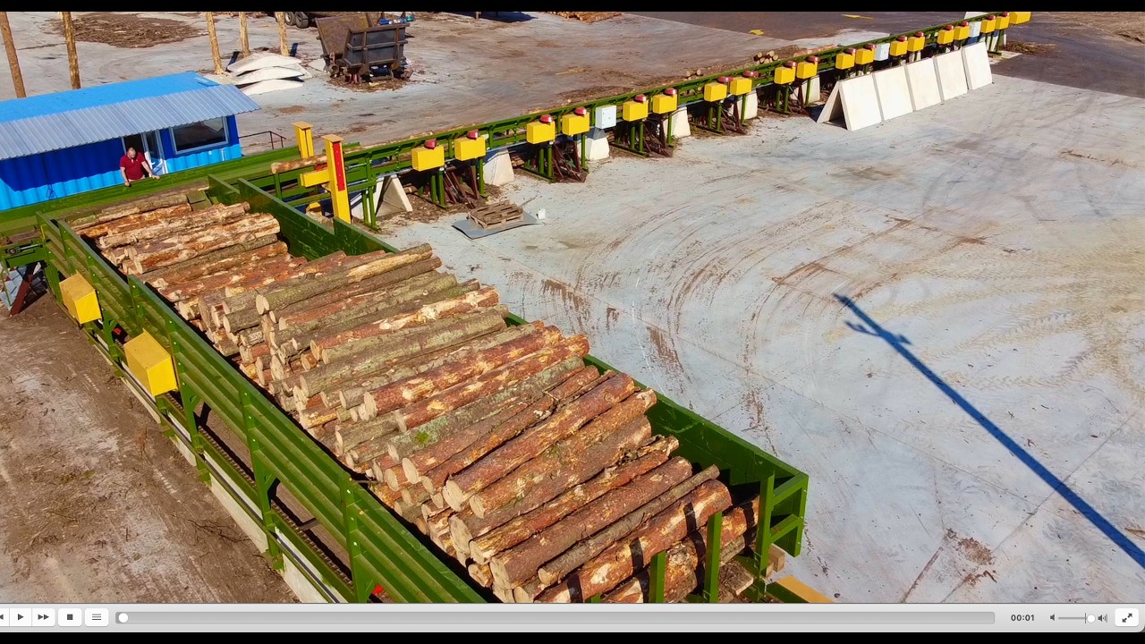 DIAMETRAS I RRL01-8 Rąstų rūšiavimo linija I Log sorting line - YouTube