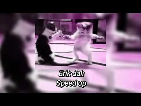 Erik dalı speed up | Speed Up Dünyası