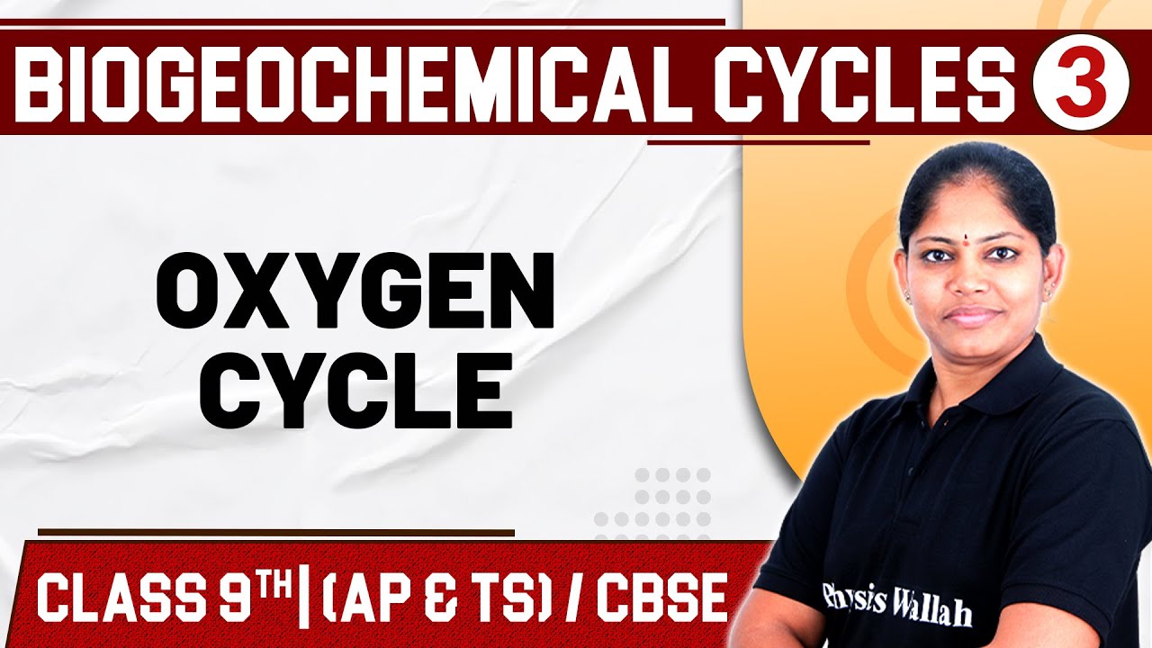 BIOGEOCHEMICAL CYCLES 03 | Oxygen Cycle | Biology | Class 9th / ( TS ...