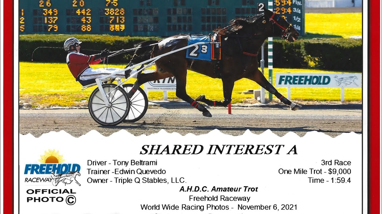 Shared Interest A - AHDC Amateur Trot - Freehold Raceway - November 6 ...