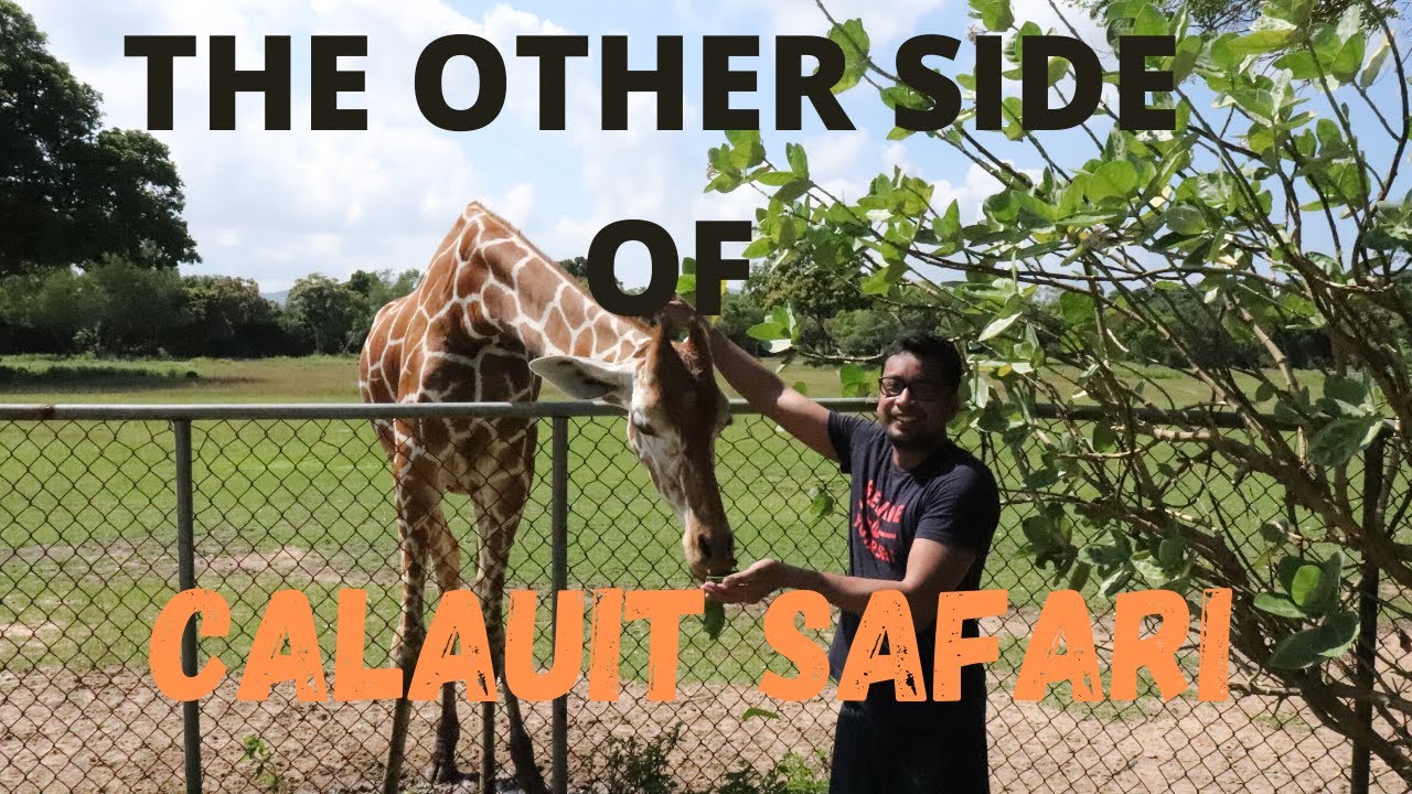Hidden Zoo in Calauit Safari???(Busuanga, Palawan) - YouTube