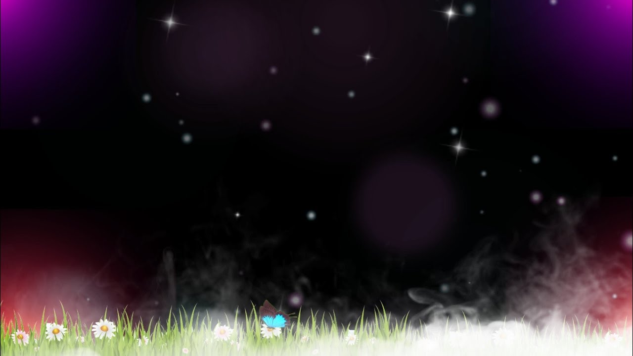 Background Template Video / Color Light Effect / Template Video ...