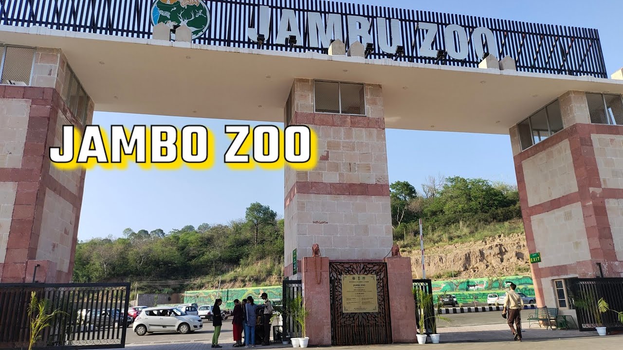 going to Jumbo zoo - YouTube